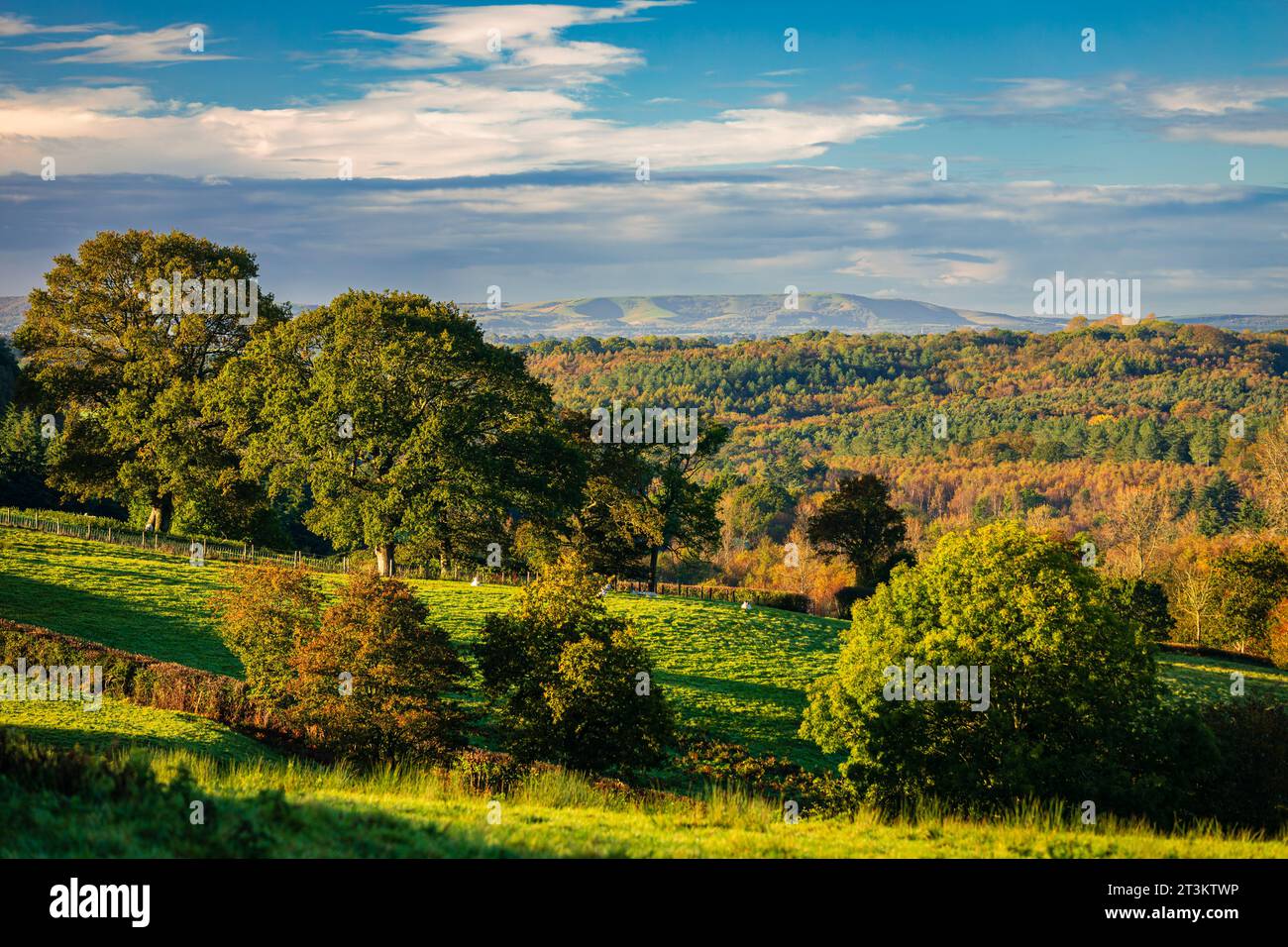 Autumn is coming on the high weald near Dallington east Sussex south ...
