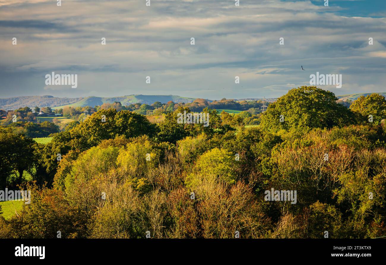 Autumn is coming on the high weald near Dallington east Sussex south ...