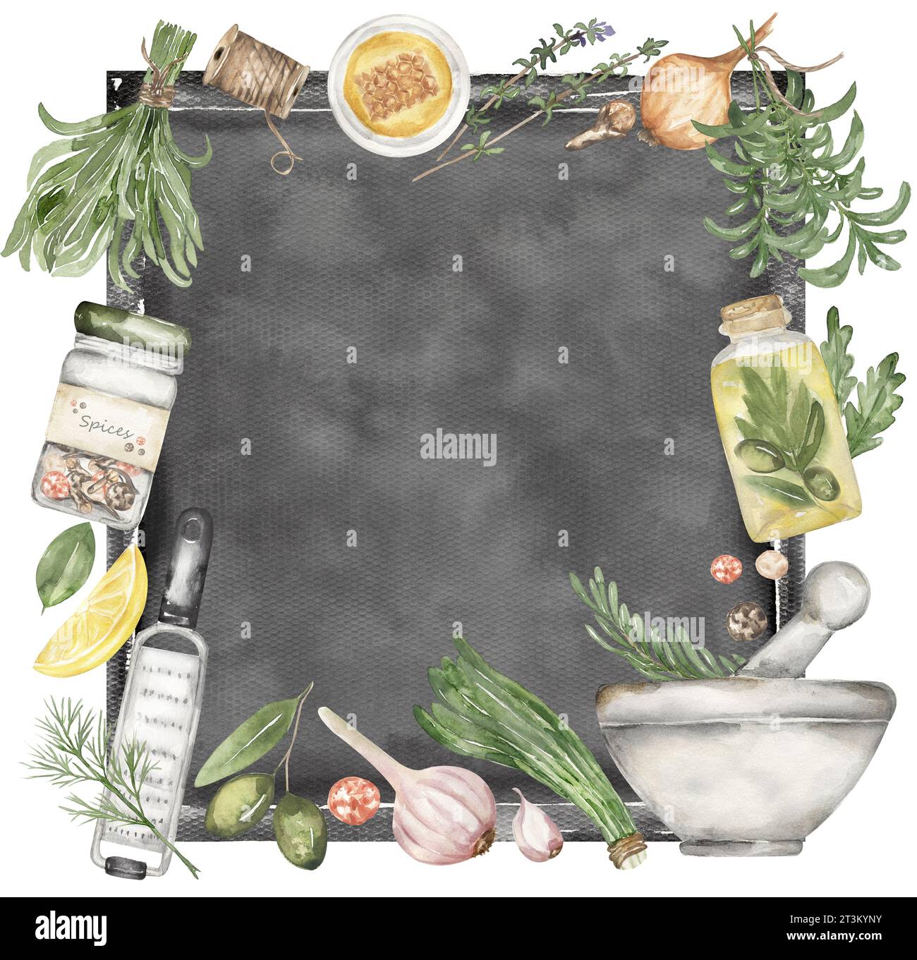 Watercolor blackboard with herbs illustration, hand drawn spices, herbs ...