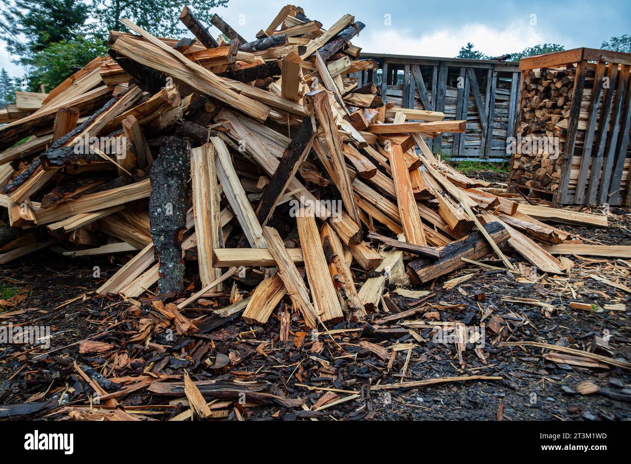 A pile of logs, freshly split firewood Stock Photo - Alamy