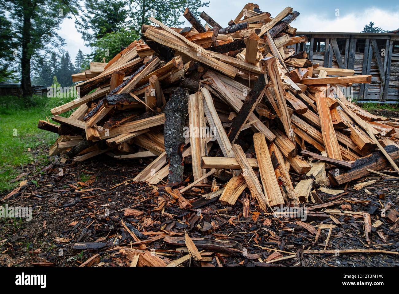 A pile of logs, freshly split firewood Stock Photo - Alamy