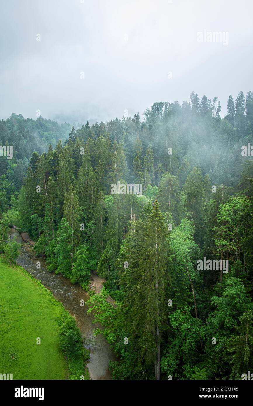 Natural landscape and view down into the Eistobel gorge in the nature ...