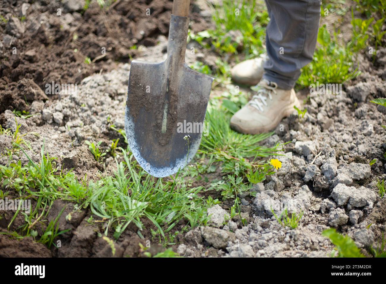 Man digging soil in backyard man hi-res stock photography and images ...