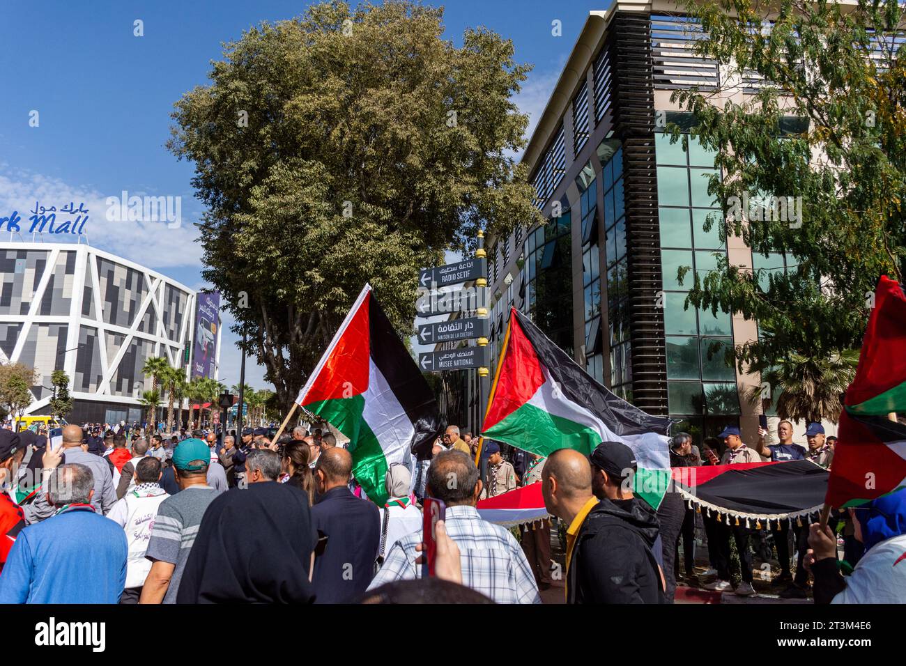A crowd of protesters in Setif City in solidarity with Palestinians ...