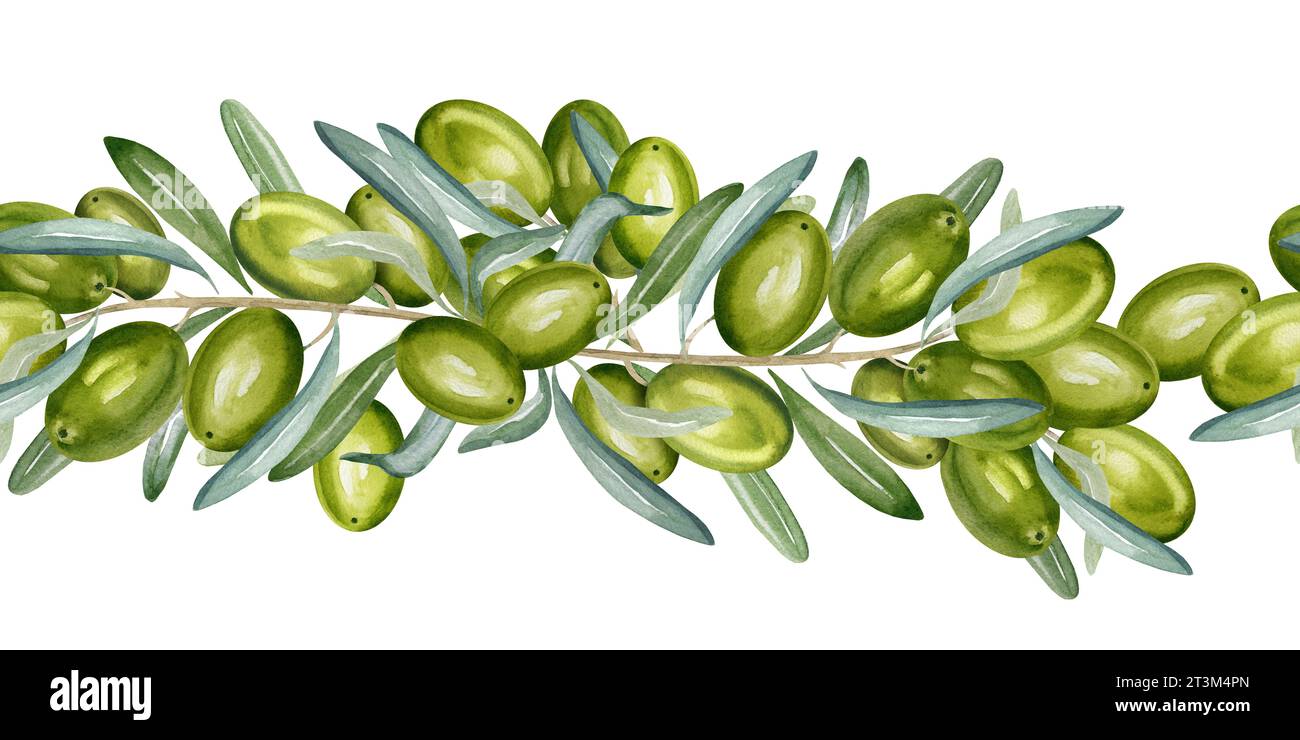 watercolor seamless border with branch of green olives with leaves and ...