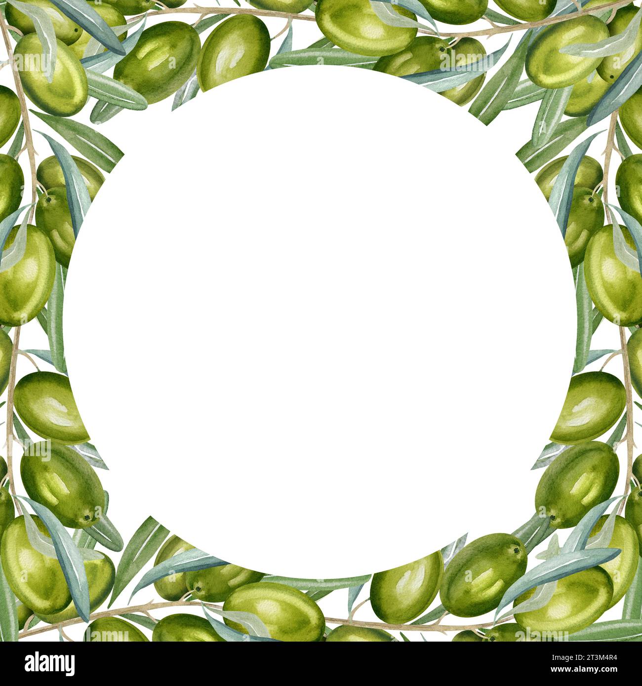 watercolor round frame with branch of green olives with leaves and ...