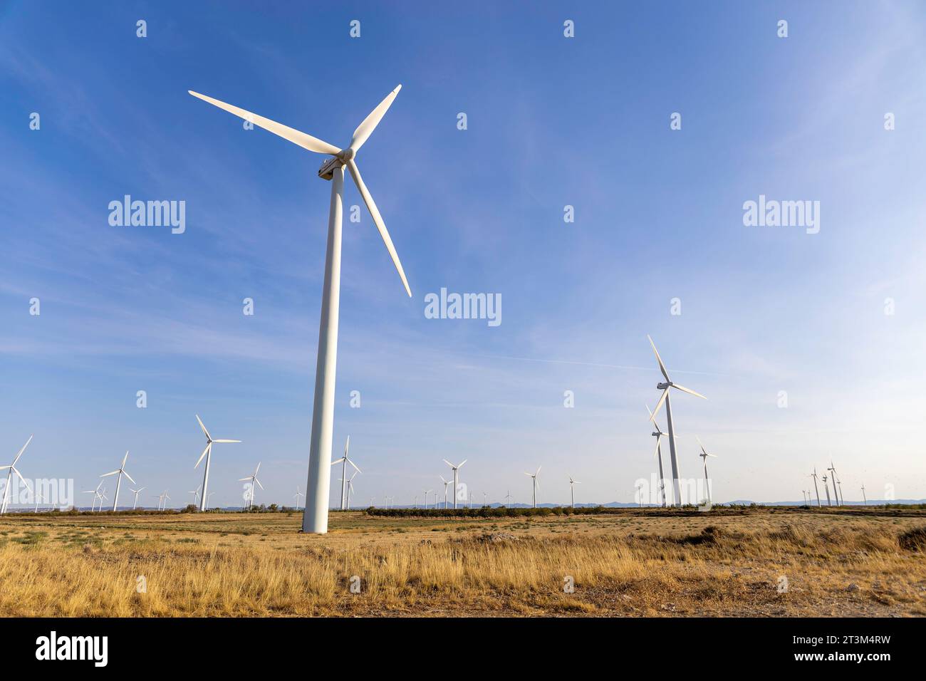 Wind farm. Field full of windmills that generate renewable energy Stock ...