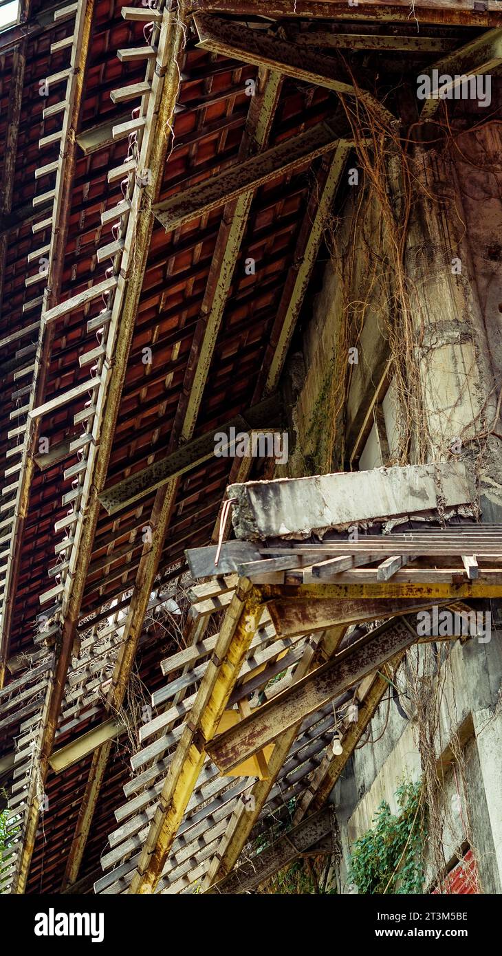 uninhabited houses, full of plant roots and cracked buildings ...