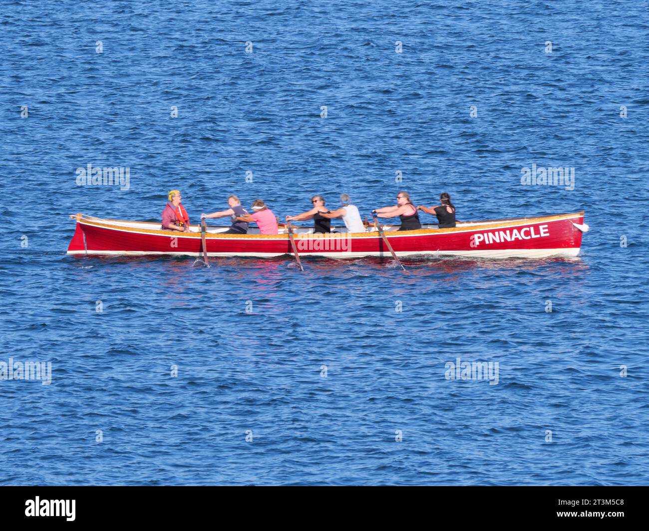 Seven people sitting in red rowing boat rowing across the sea Stock ...