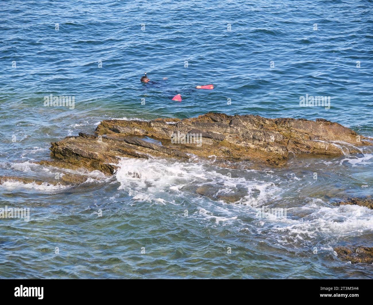 A man snorkeling with red diving fins in the sea in front of Pendennis ...