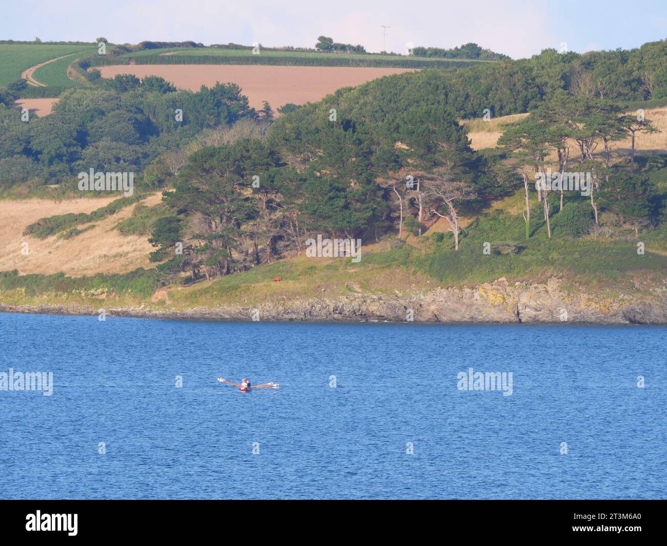 View of the bay and coastal vegetation of the Roseland Peninsula near ...