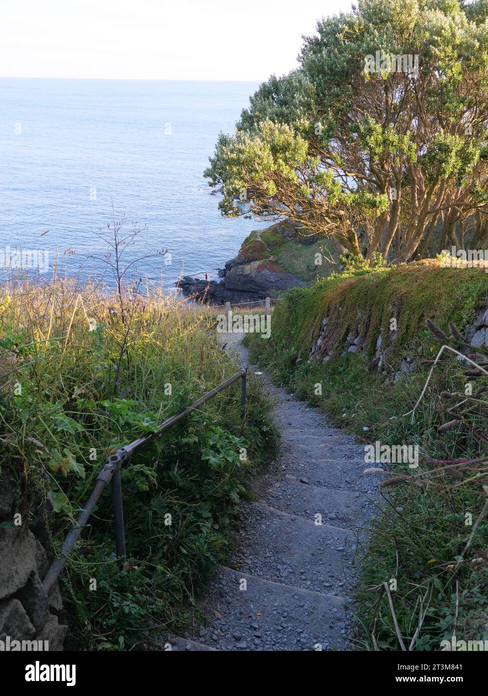 Coastal footpath in the cliff at Lizard Point in Cornwall, England in ...
