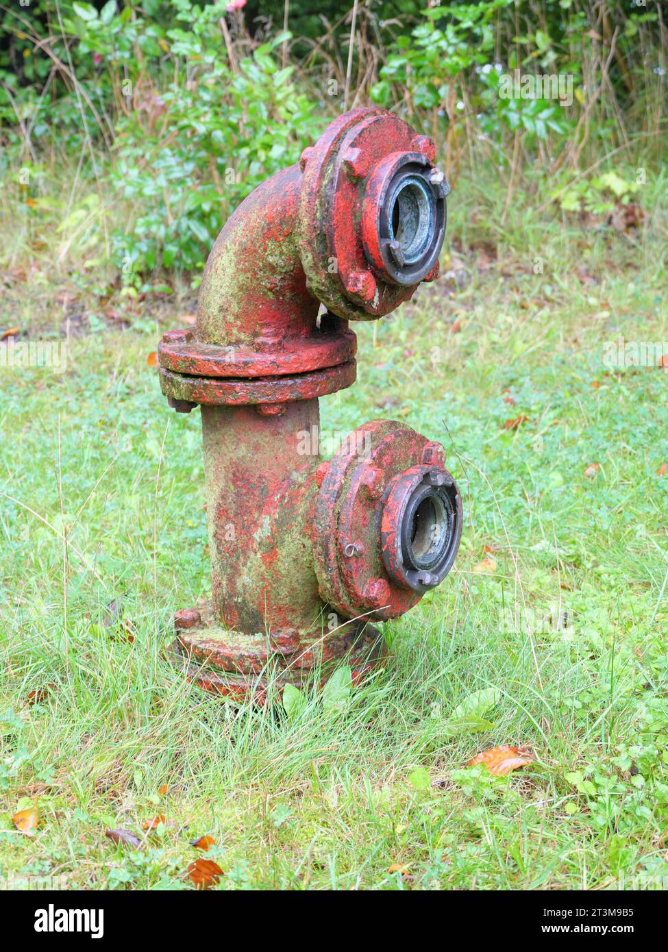 Old mossy red hydrant as fire department connection for fire hose Stock ...