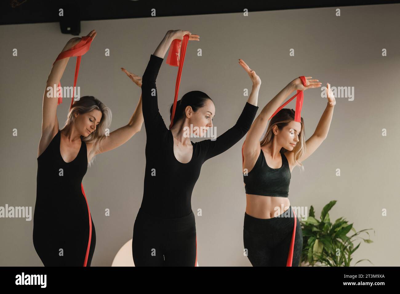 Girls in black are doing fitness with red ribbons indoors Stock Photo ...