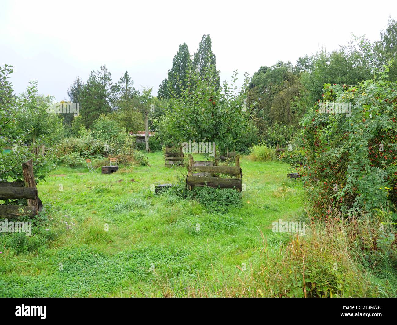 How to protect animals hi-res stock photography and images - Alamy