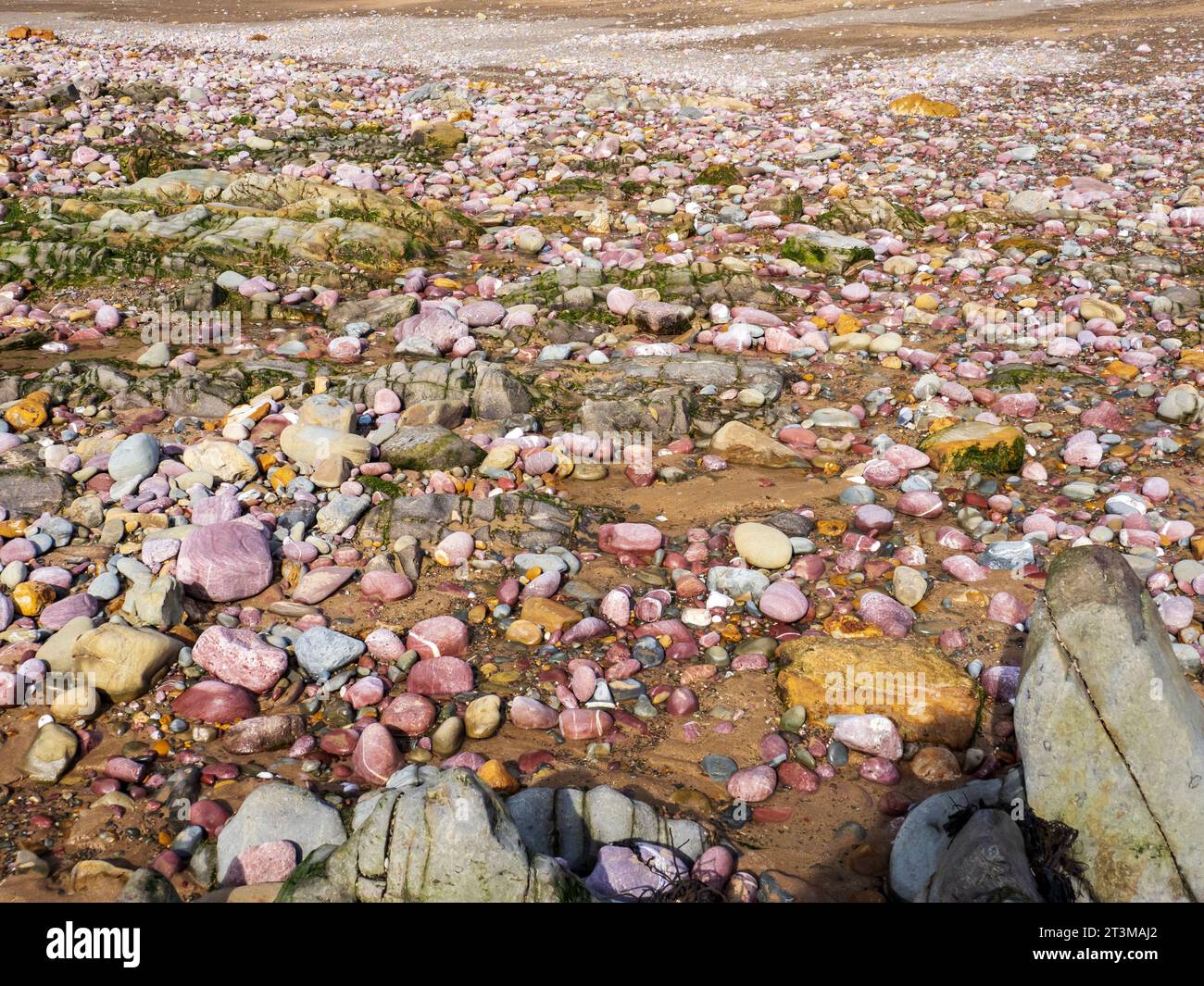 Colourful pebbles on the beach at Marloes Sands in Pembrokeshire, Wales ...