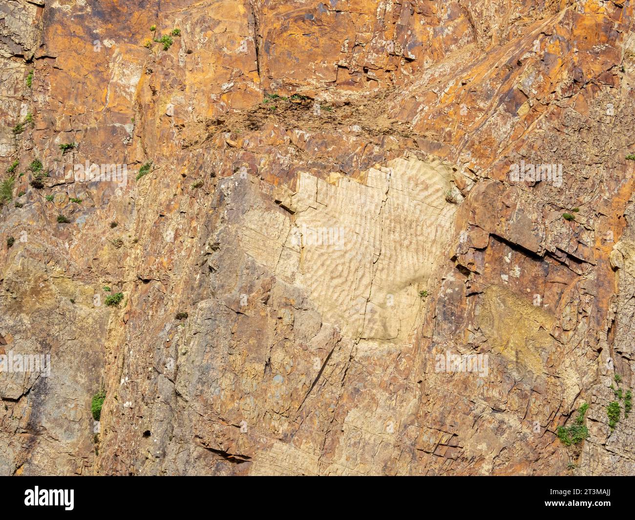 Fossilised sand ripple marks in rhe sea cliffs at Marloes Sands in ...