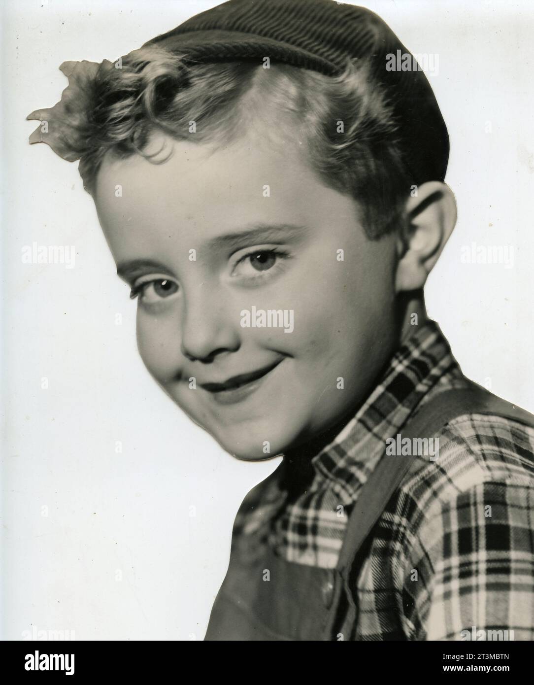 Kitter hi-res stock photography and images - Alamy