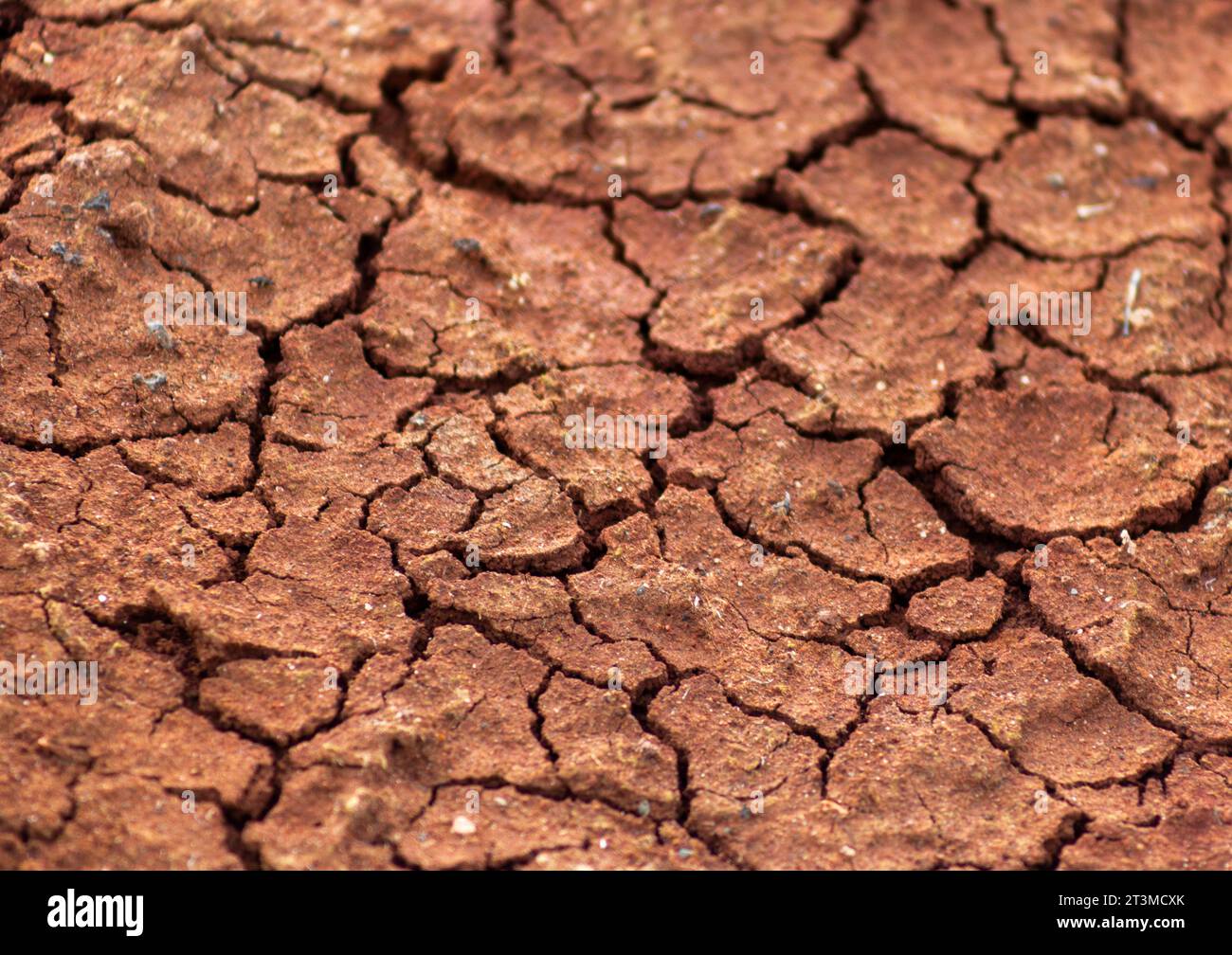 Geothermal ares hi-res stock photography and images - Alamy