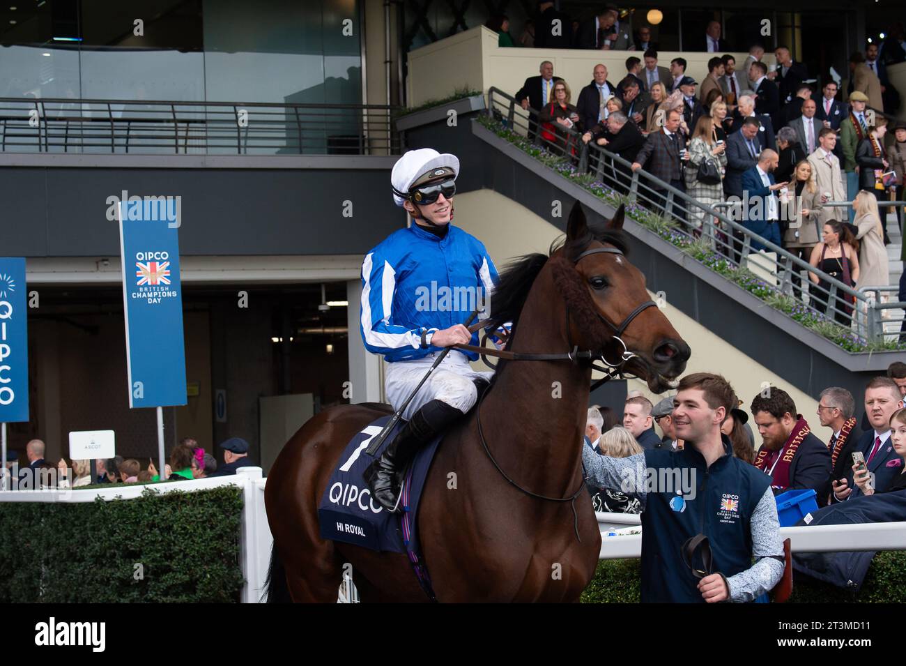 Horse champion hi hi-res stock photography and images - Alamy