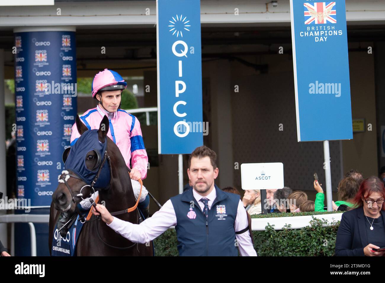 William knight racing ltd hi-res stock photography and images - Alamy