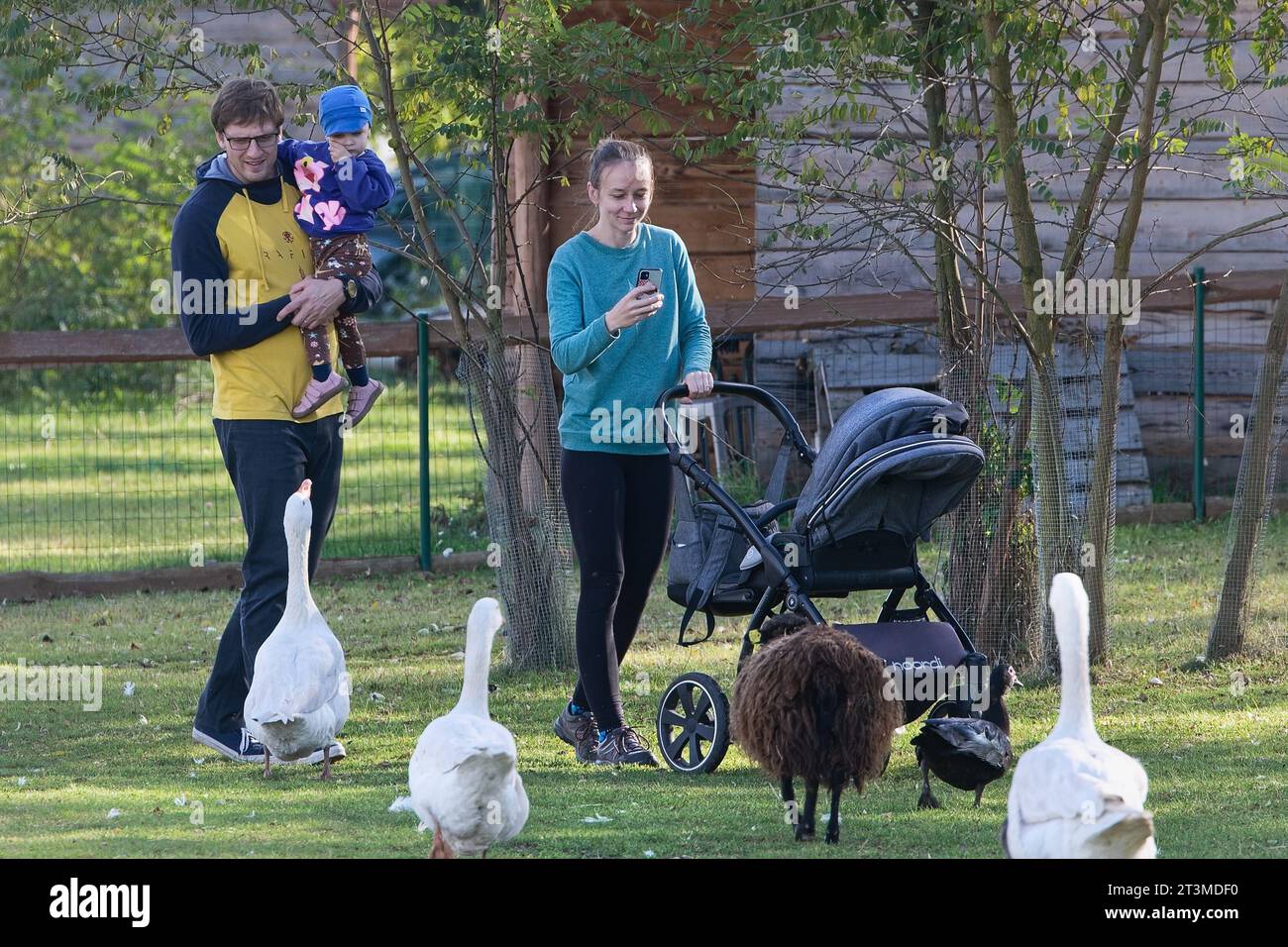 Contact Zoo with a focus on farm animals in Zelcin. In the picture from ...