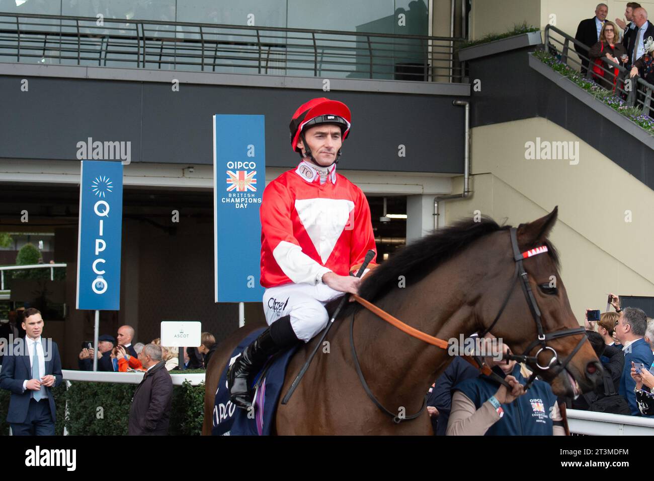 Rogue millennium ascot 2023 hi-res stock photography and images - Alamy