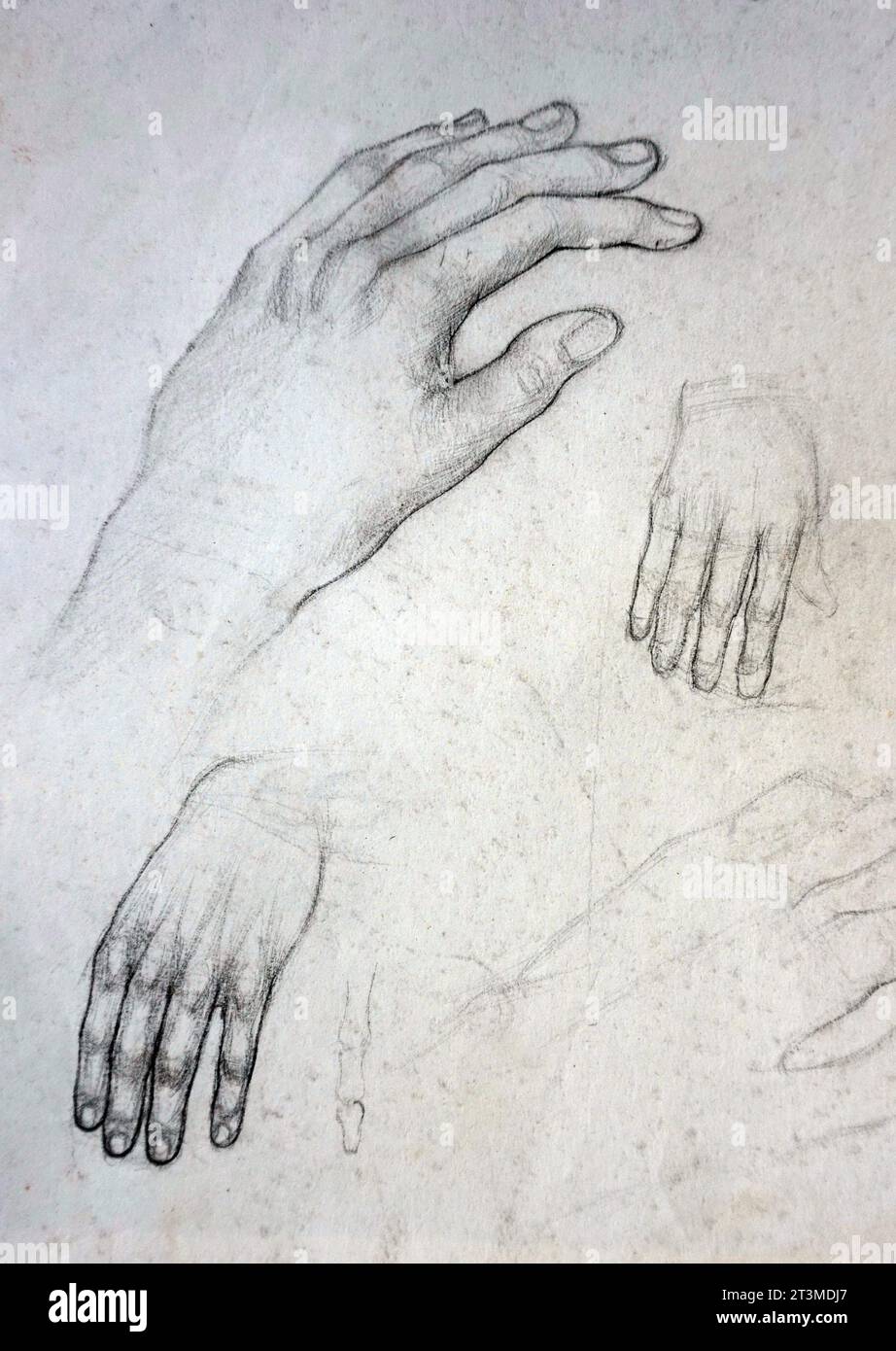 Original art drawing Structure fine art Out line finger, hand Stock ...