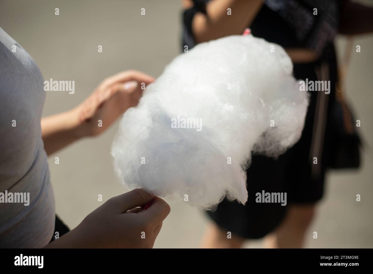 Sweet cotton wool. Food in park. Delicious treat. Cotton candy on stick ...