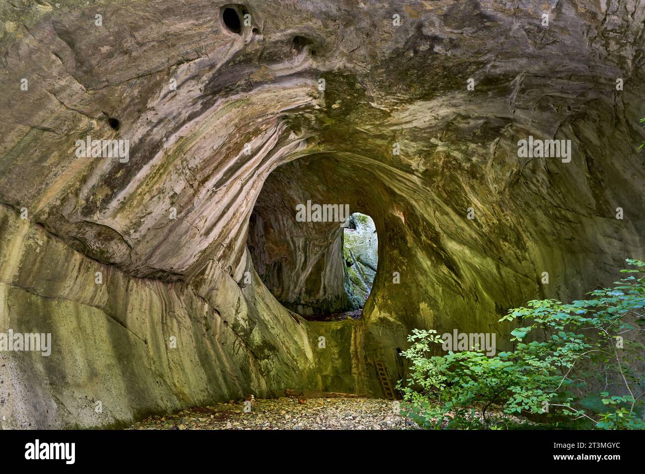 Entry portal of a cave in a limestone mountain Stock Photo - Alamy