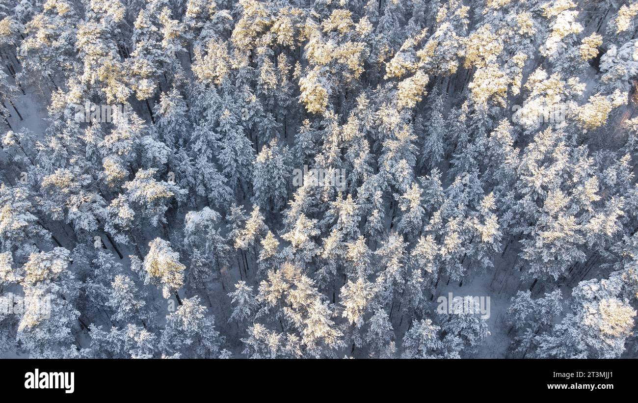 Flying over snowy forest top hi-res stock photography and images - Alamy