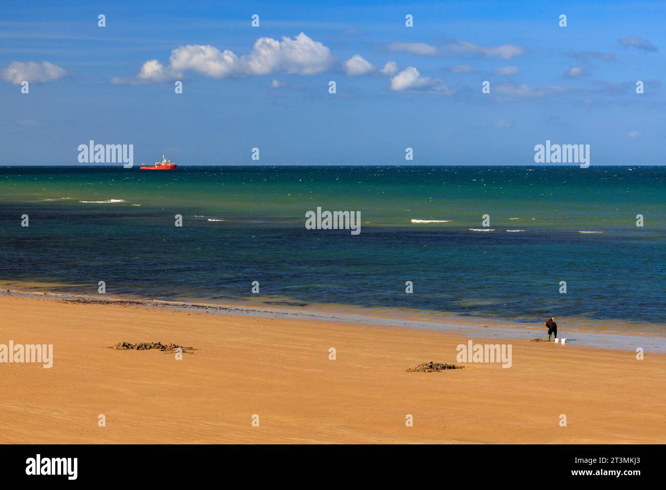 Bait digging beach hi-res stock photography and images - Alamy