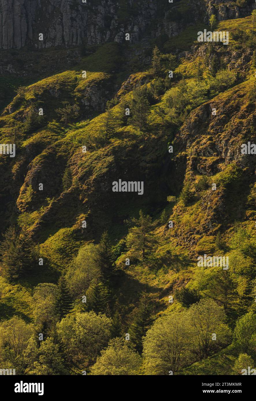 A scenic landscape of green hills with trees in spring Stock Photo - Alamy