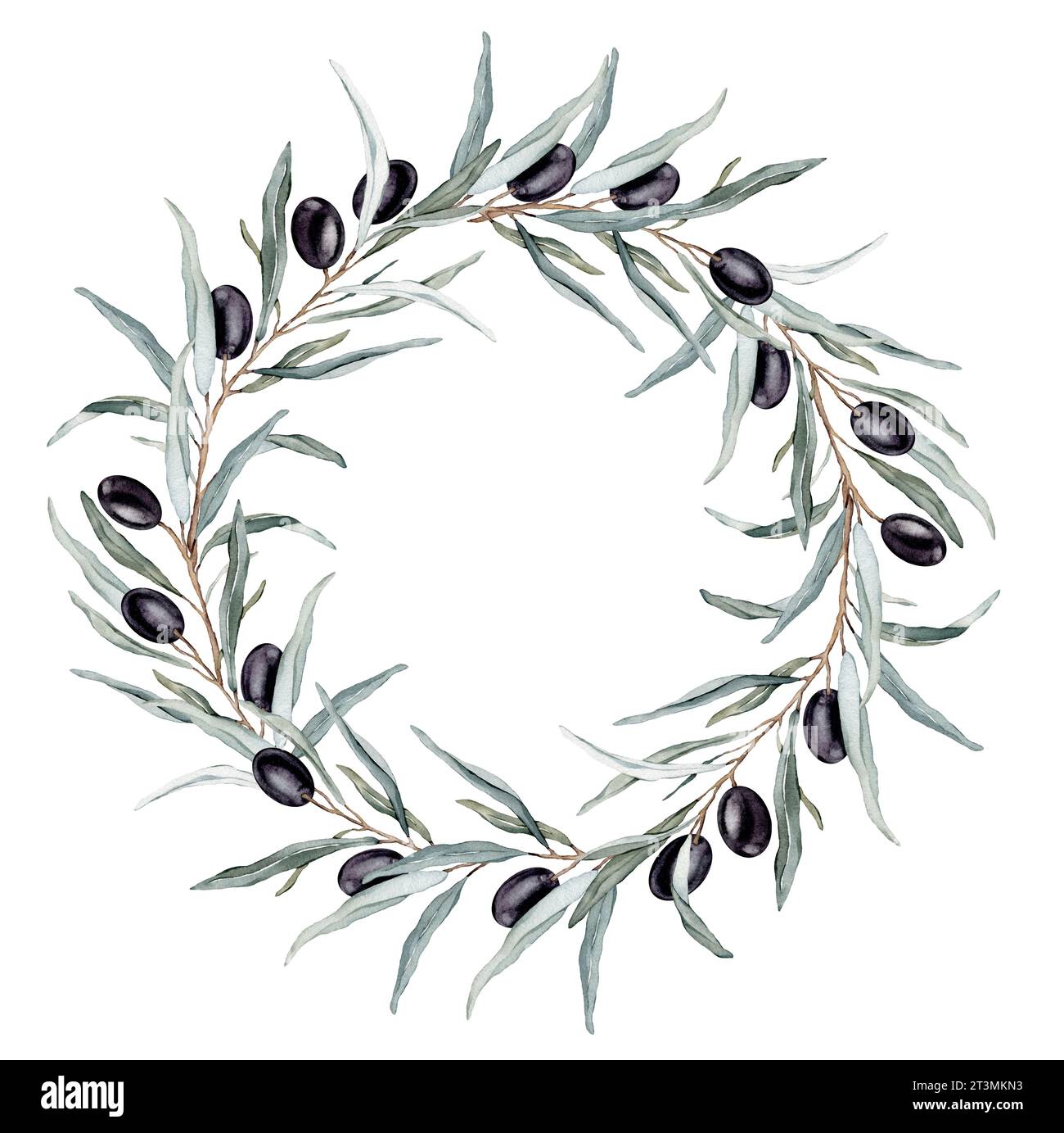 Watercolor olive branch round wreath with black fruit and green leaves ...