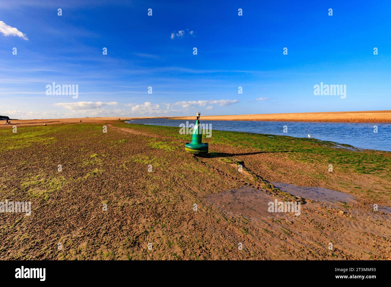 An extremely low tide where the tidal channel from Wells-Next-The-Sea ...