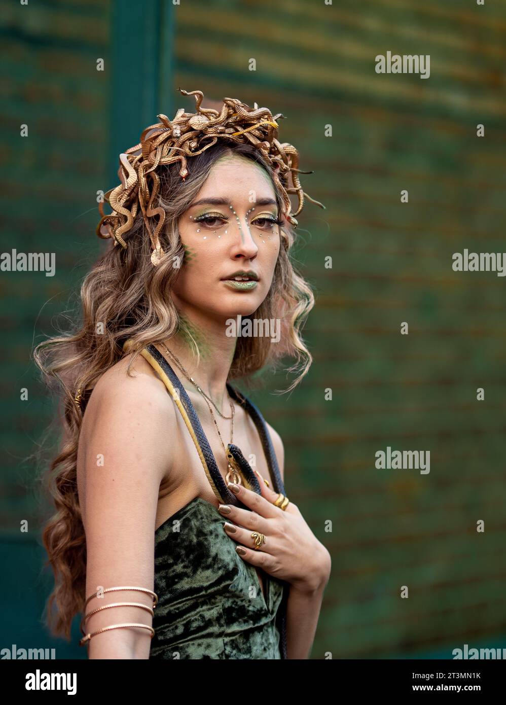 Female medusa hi-res stock photography and images - Alamy