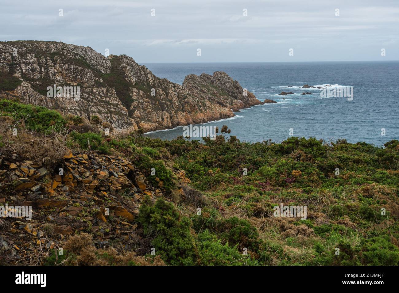 Roca tortuga hi-res stock photography and images - Alamy