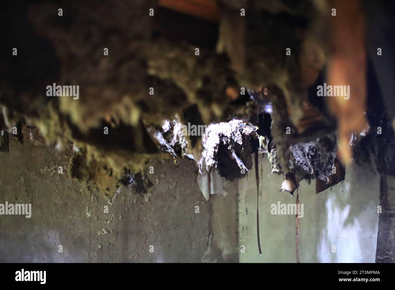 Ceiling in an abandoned building falling down creating a hole Stock ...