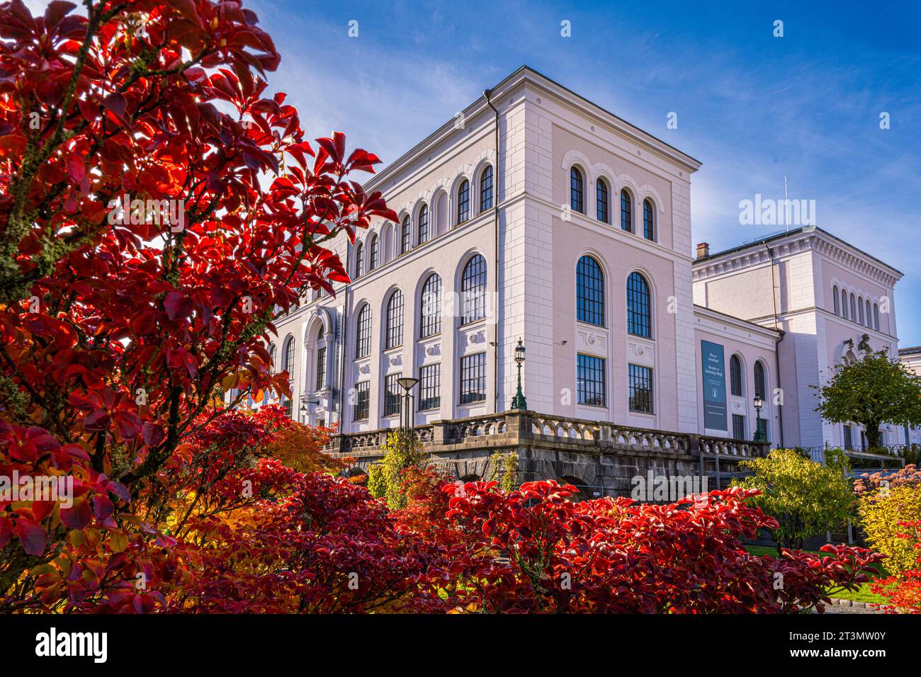 Autumn coours in Bergen, Norway Stock Photo - Alamy