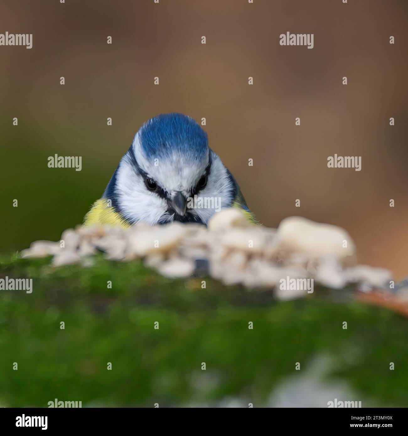 Happy amazed hi-res stock photography and images - Alamy