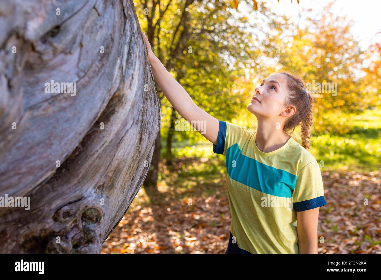 Young woman connecting and communicating with a majestic old tree ...