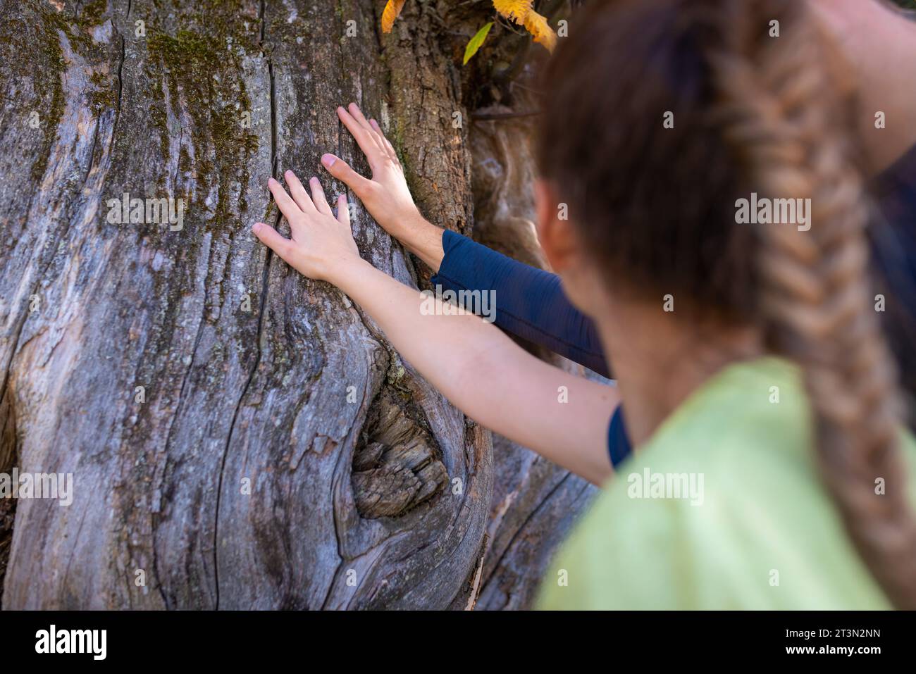 Grounding touch hi-res stock photography and images - Alamy
