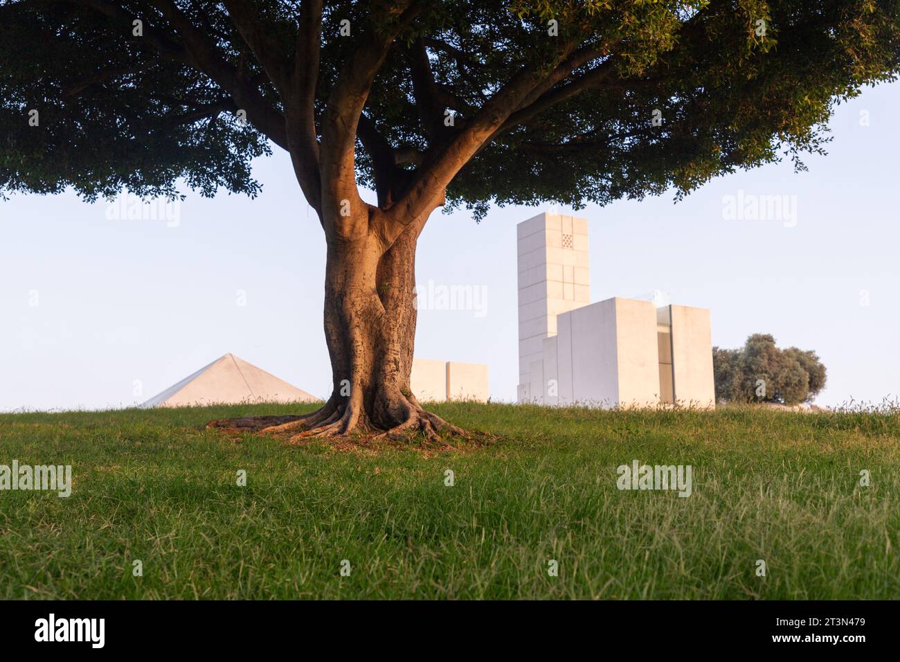 Tel Aviv, Israel - OCT 24, 2023 - Edith Wolfson Park, topped by the ...
