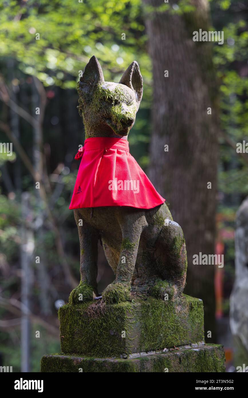Fushimi district hi-res stock photography and images - Alamy