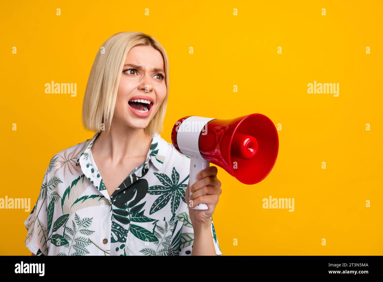 Photo portrait of lovely young lady scream irritated loudspeaker ...