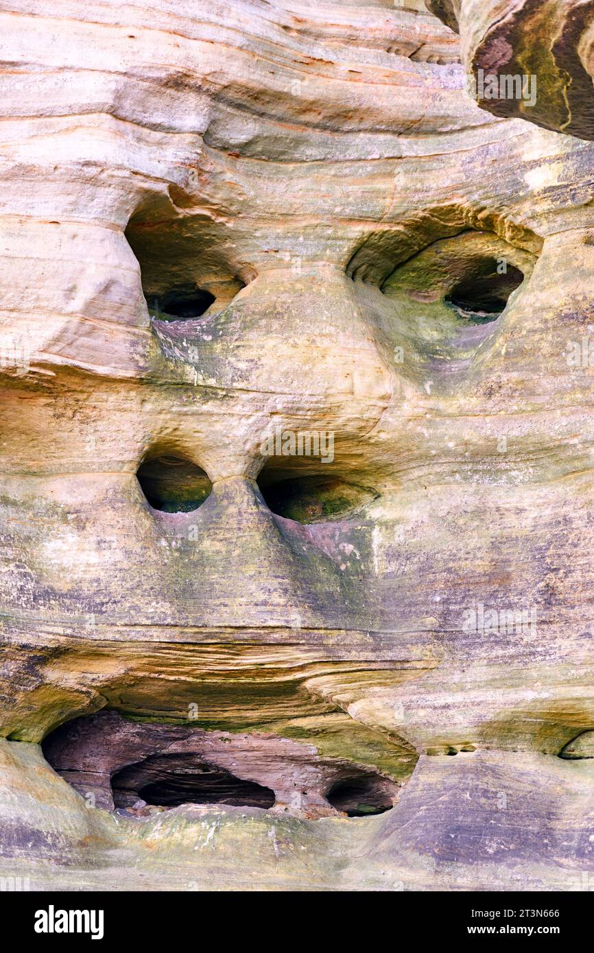 Hopeman Moray Coast Scotland sandstone cliff with weathered deep ...