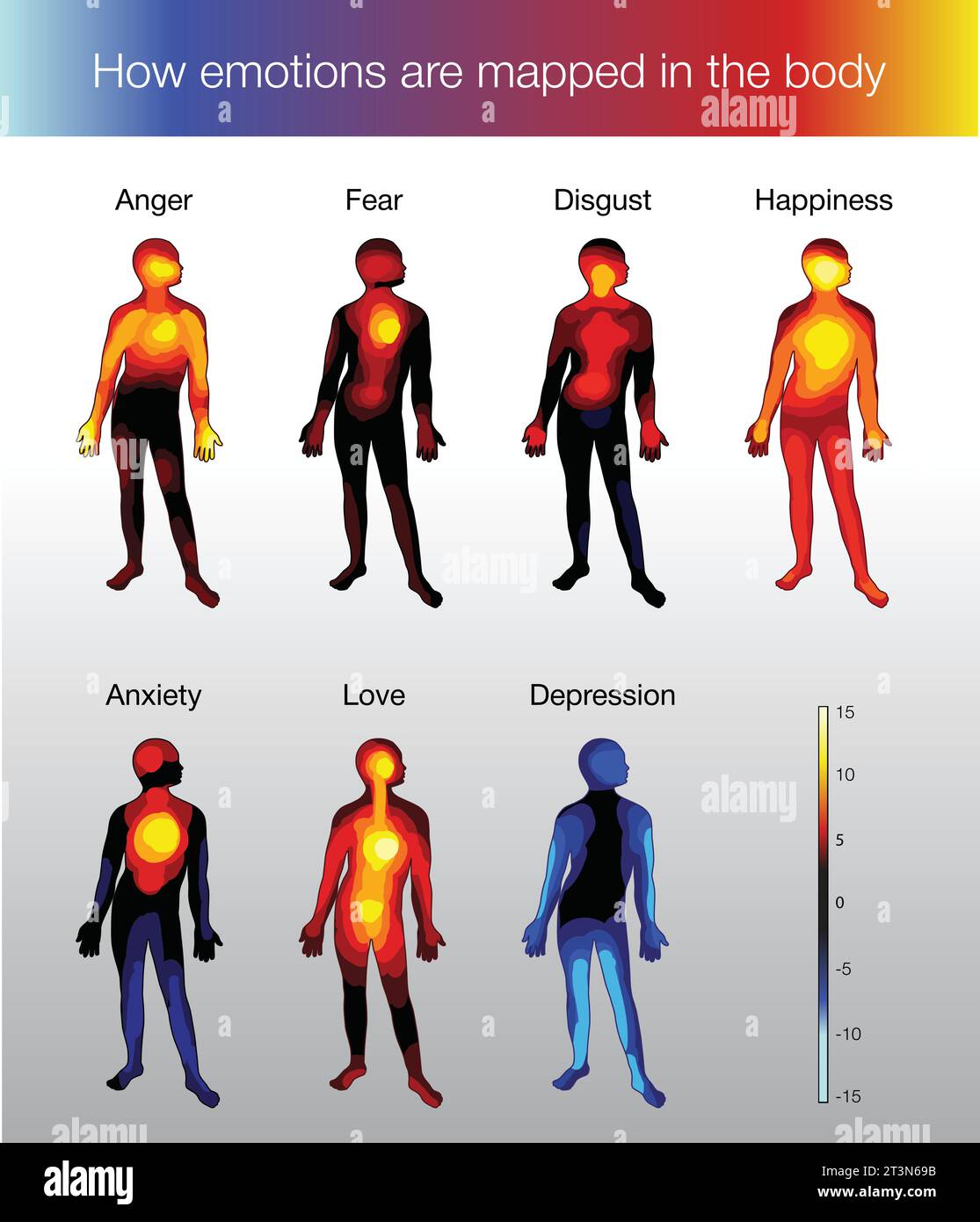 Heat map brain hi-res stock photography and images - Alamy