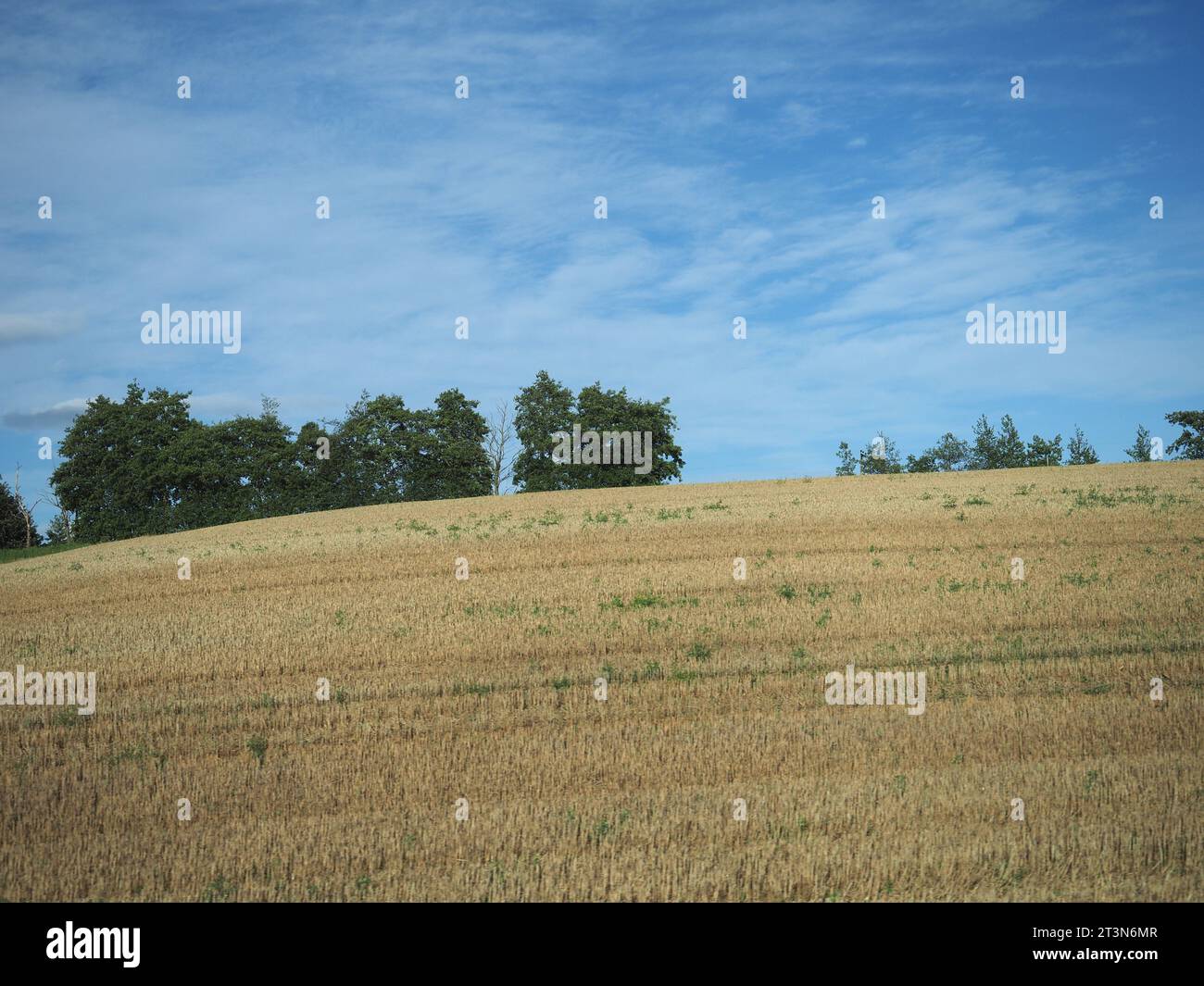 Scottish Lowlands panorama between Dundee and Aberdeen Stock Photo - Alamy