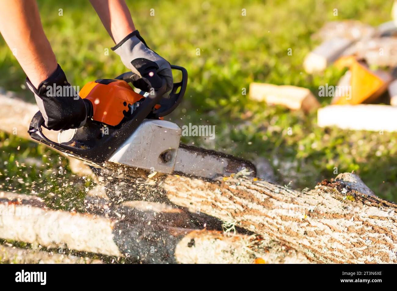 Manual hand grass cutter hi-res stock photography and images - Alamy