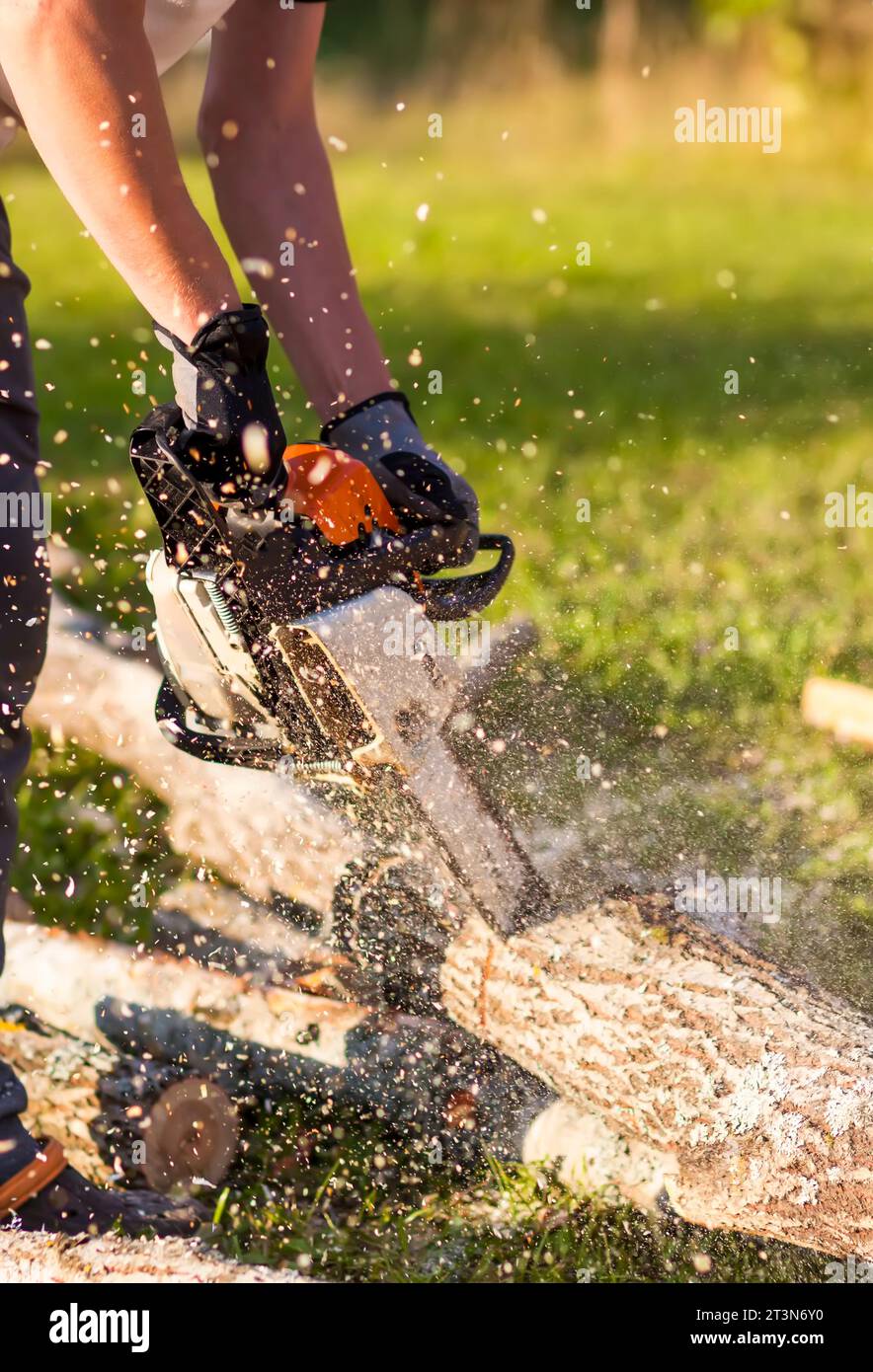 Hand chainsaw carpentry tool hi-res stock photography and images - Alamy
